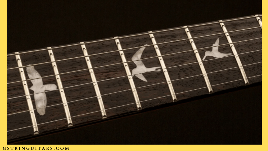 Carlos Santana PRS Guitar - A Look At The SE Santana Model