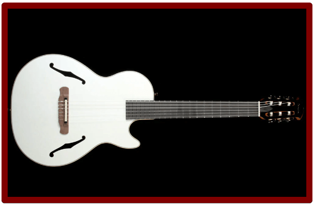 The Yngwie Malmsteen Signature Guitar - G String Guitars.