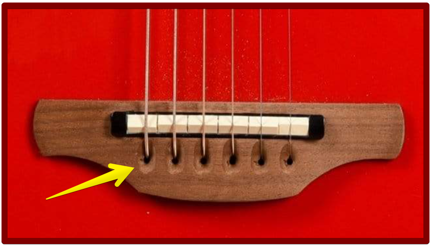The Yngwie Malmsteen Signature Guitar - G String Guitars.
