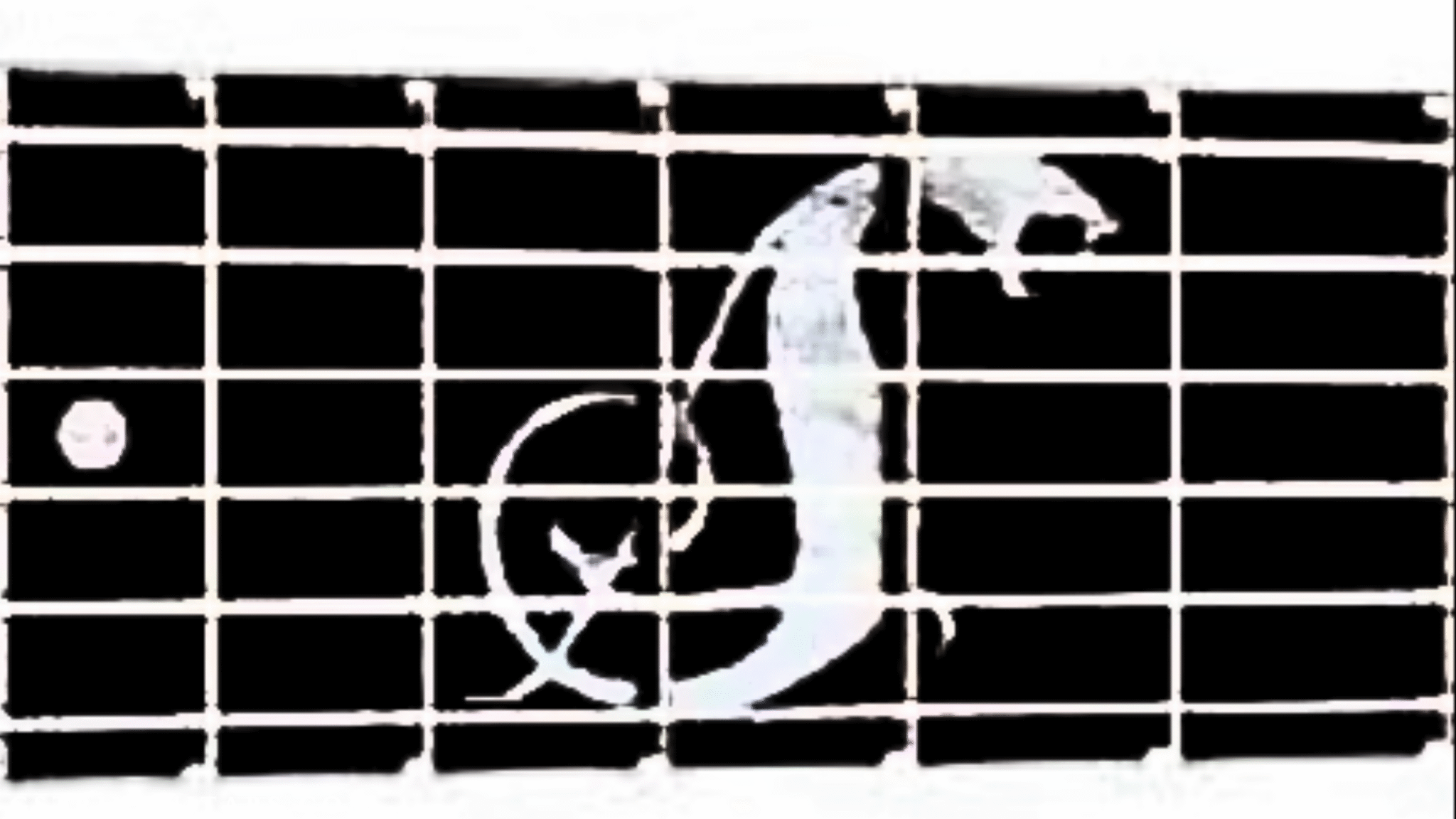 Exploring The ESP LTD James Hetfield Snakebyte Guitar | GSG